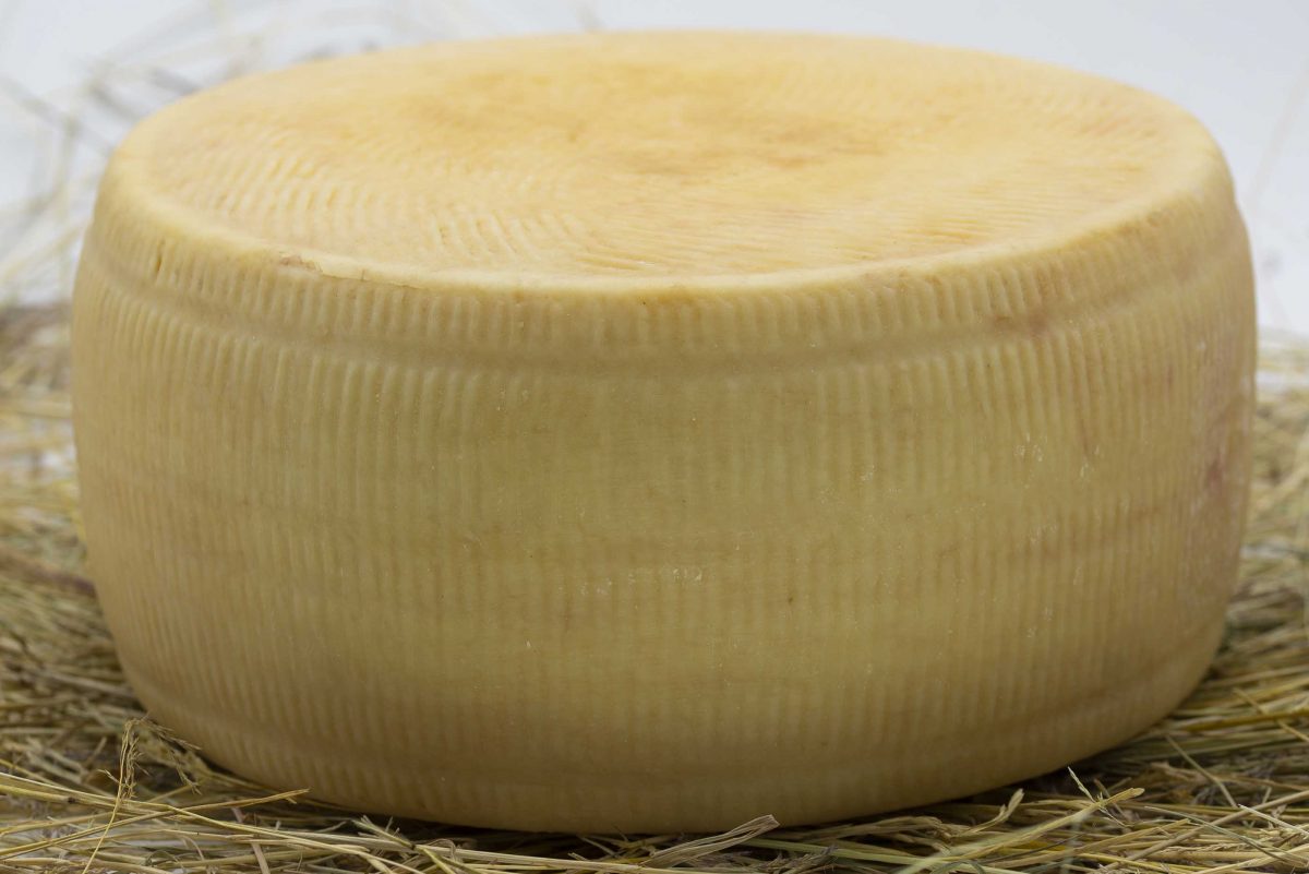 Formaggio Gran Stagionato - pezza intera - La Fattoria nel Parco della Sila